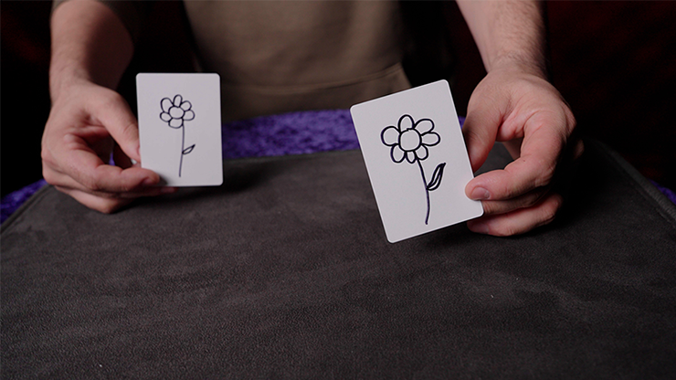 Blank Vision by Giovanni Cricchio – Bacon Magic